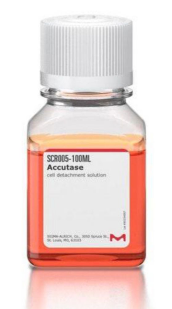Accutase cell detachment solution | SCR005